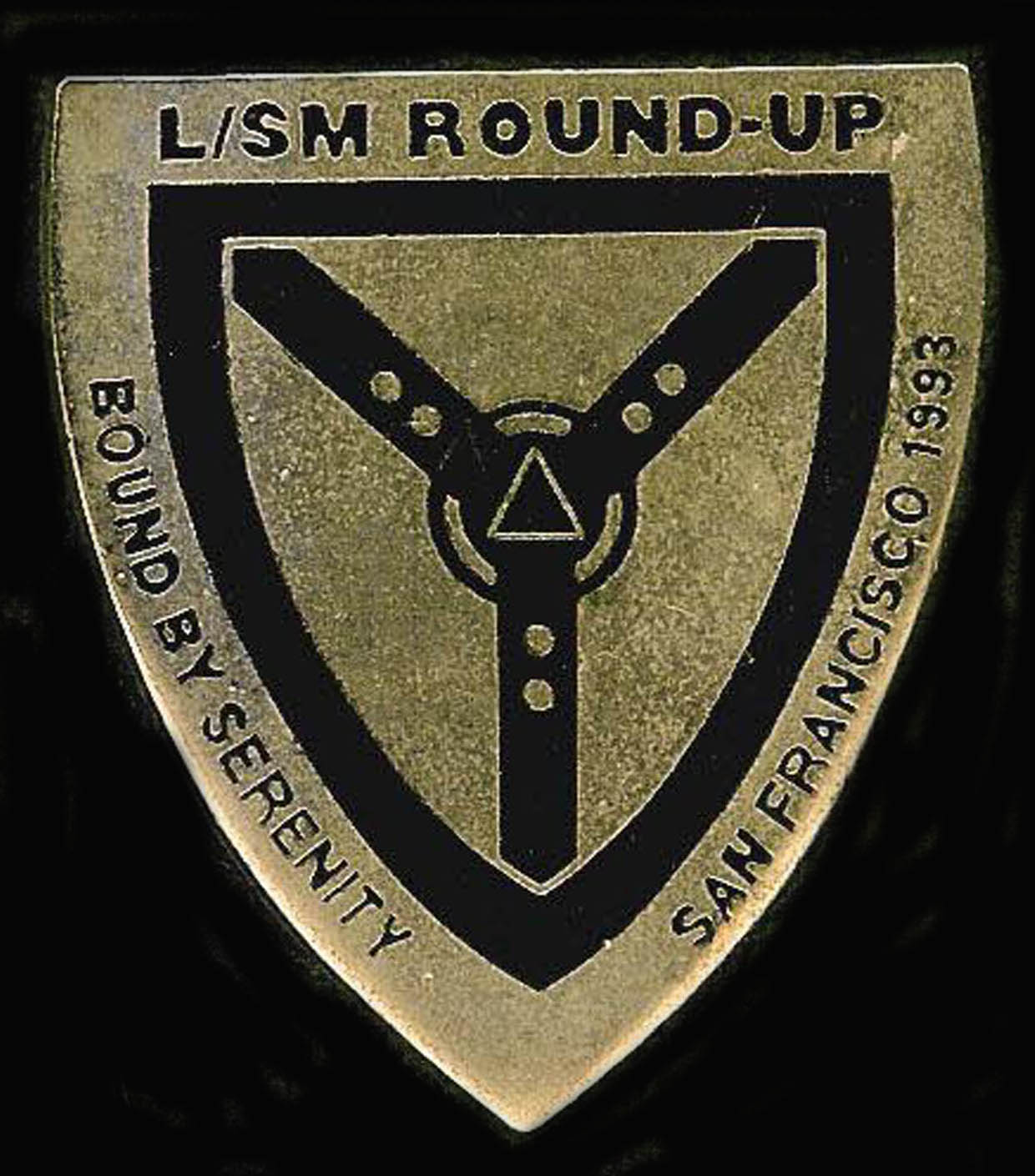 Lesbian Sex Mafia Roundup2